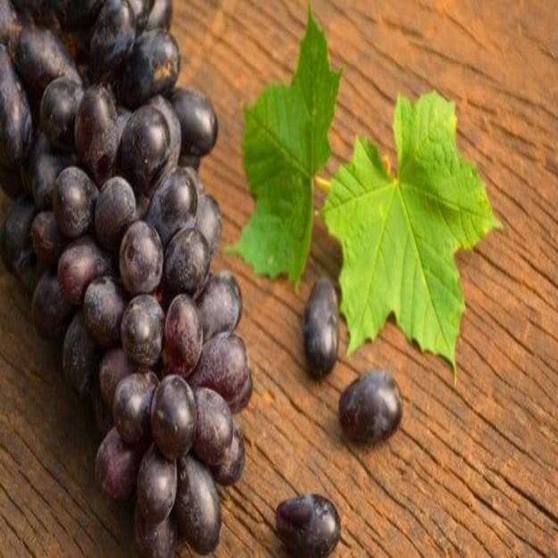 Black Grapes (Hybrid) - Fruit Plants & Tree– Exotic Flora
