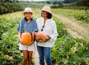 Mango Kothapalli kobbari(Grafted)- Fruit Plants & Tree– Exotic Flora