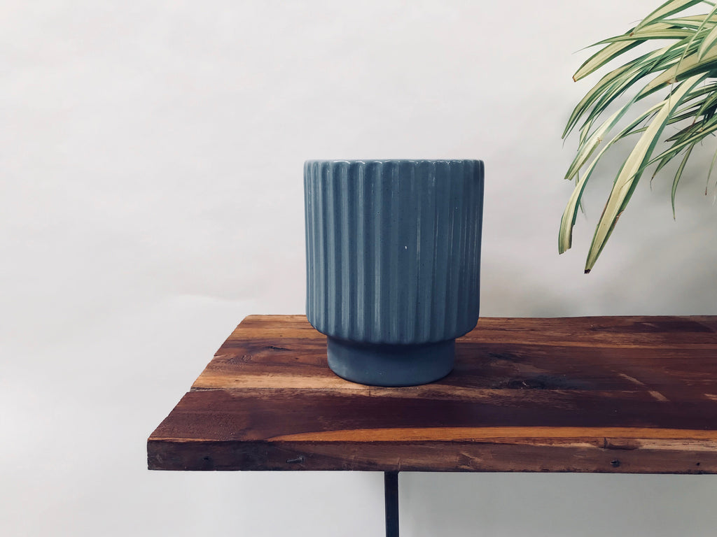 Dark Affinity - Grey– Exotic Flora