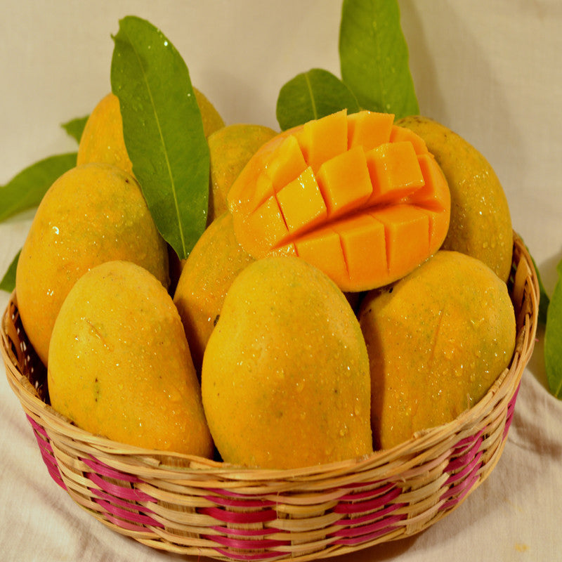 Mango Bahensha Or Bangenpalli (Grafted)- Big Size Plants– Exotic Flora