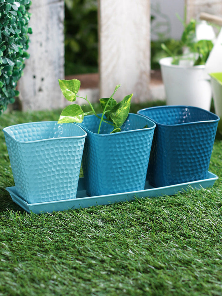 Set of three Herb Pots Blue – Exotic Flora