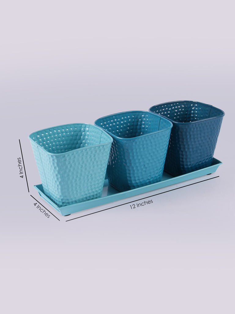 Set of three Herb Pots Blue – Exotic Flora