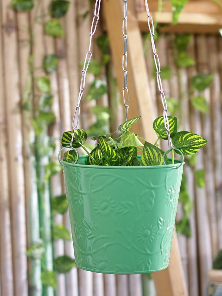 Hanging Bucket Green– Exotic Flora