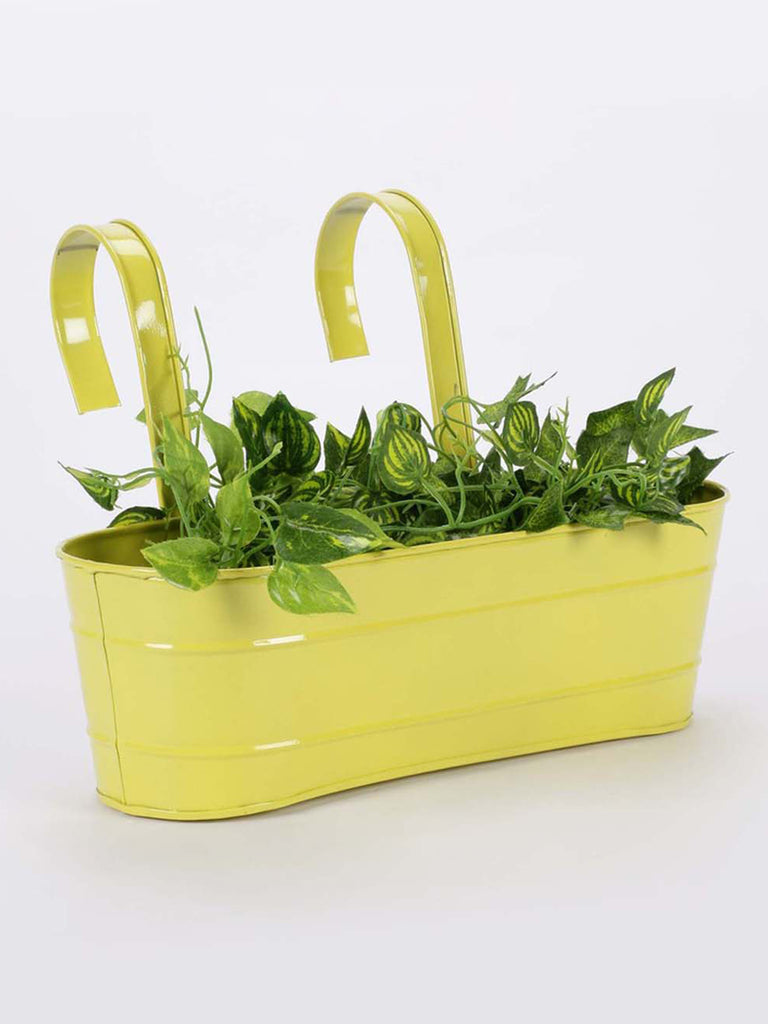 Oval Railing Planter Large Yellow – Exotic Flora