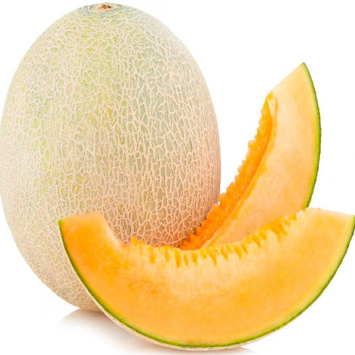 Muskmelon/Kharbooj NS 910-Fruit Seeds– Exotic Flora