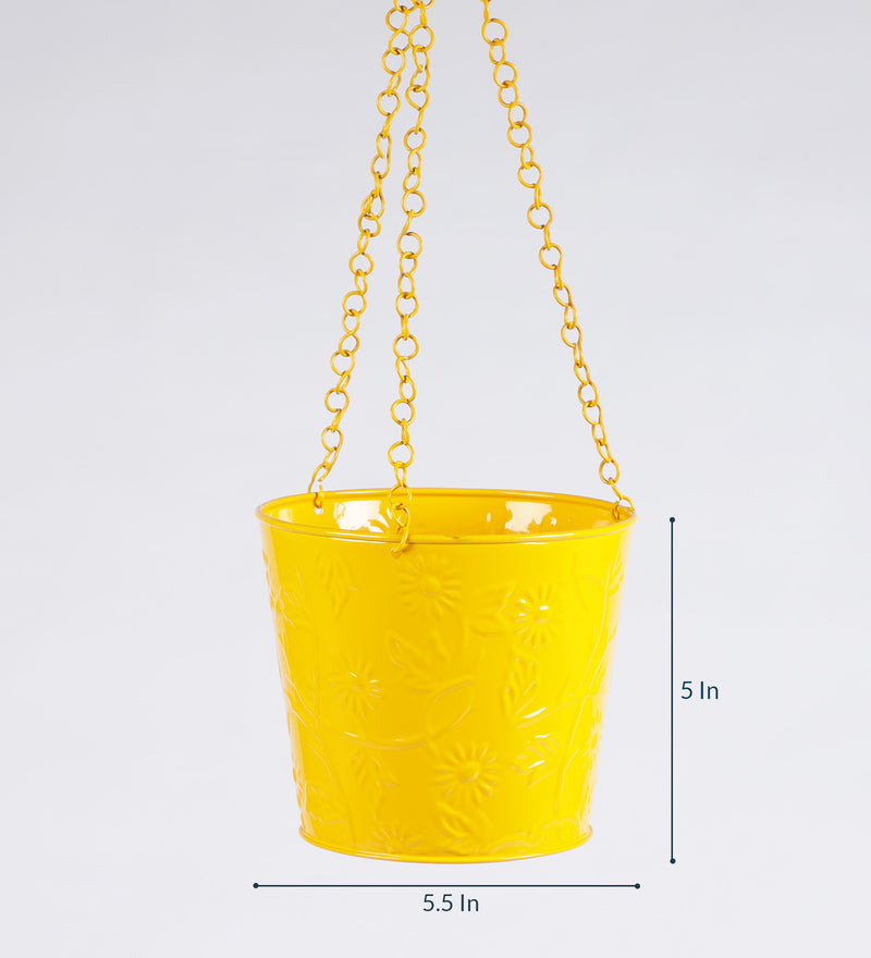 Set of Five Hanging Bucket Yellow – Exotic Flora