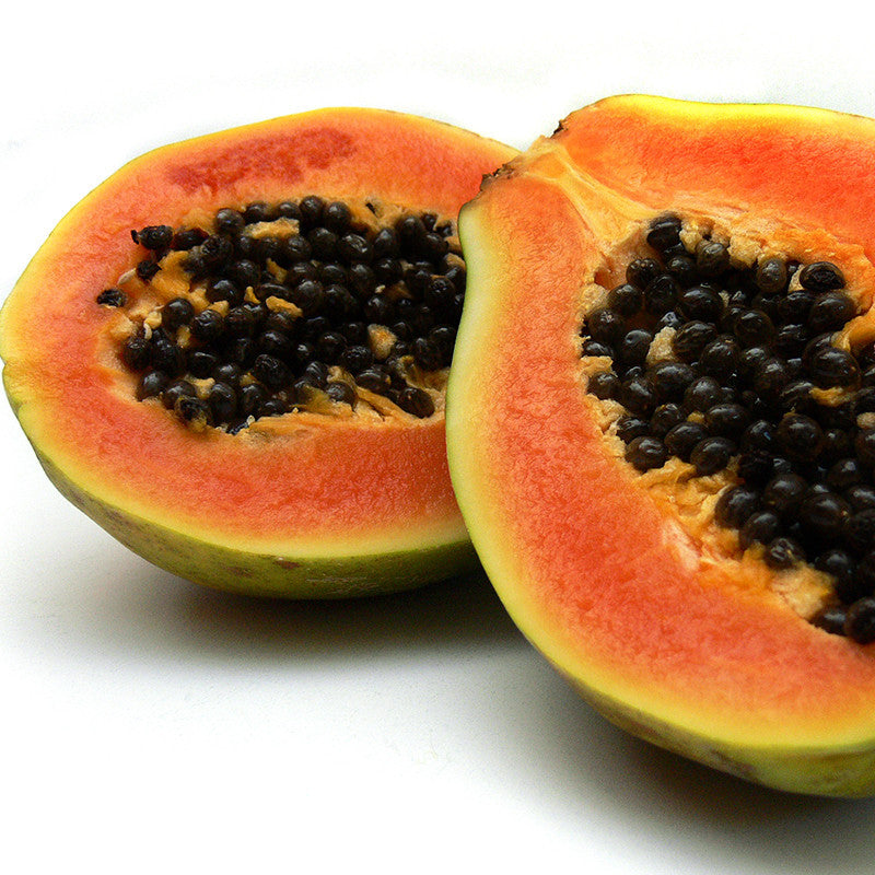 Red Papaya - Fruit Plants & Tree– Exotic Flora
